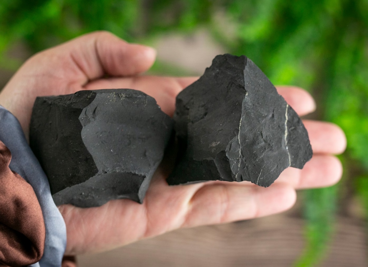 Shungite: Complete Guide (2023) | Healing Crystals Co.